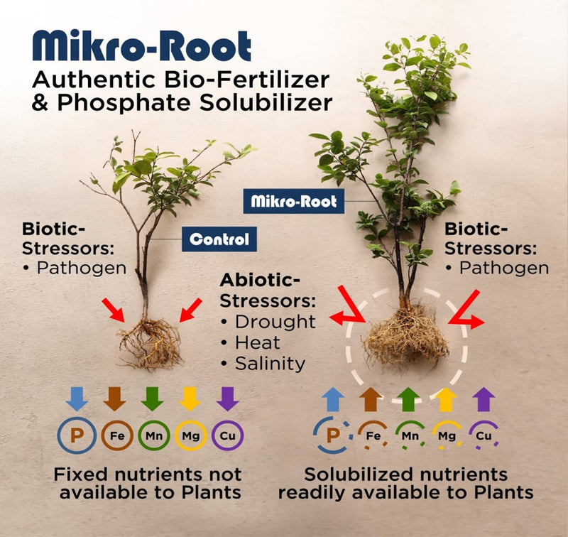 Mikro-Root 2 oz. by Mikrobs - Microbial Applications, Inc